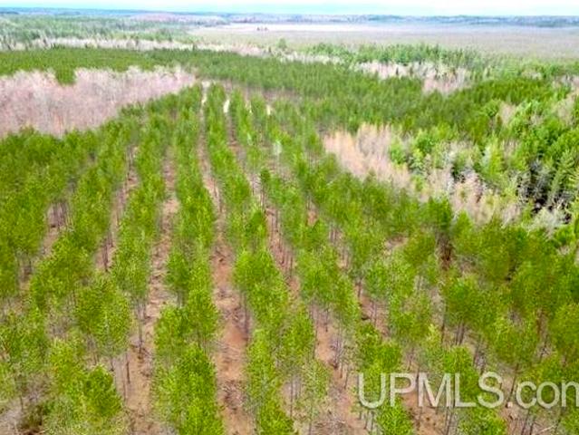TBD Co Rd 440 Road