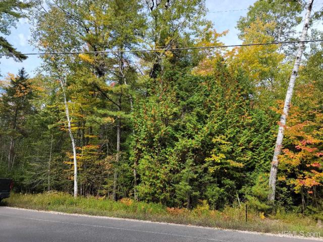 TBD Co Rd 441 Road