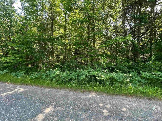TBD Co Rd 482 Road