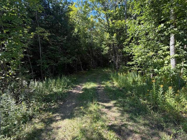 Tbd co rd 550 road