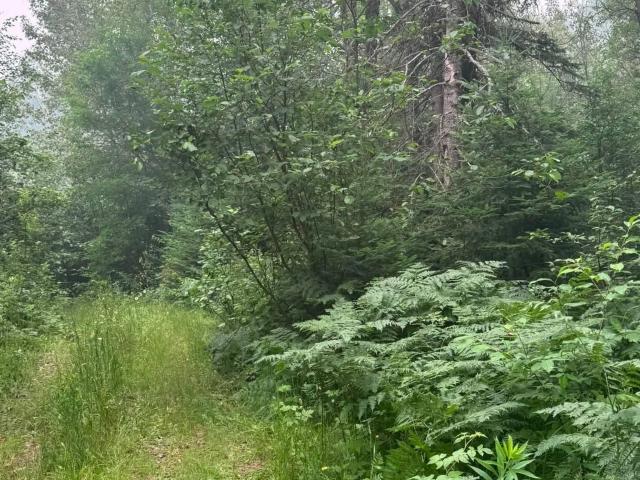 TBD Co Rd 601 Road