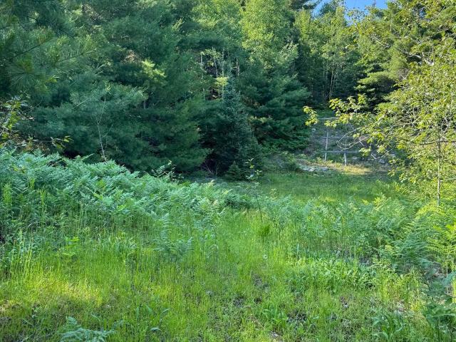 TBD Co Rd 601 Road