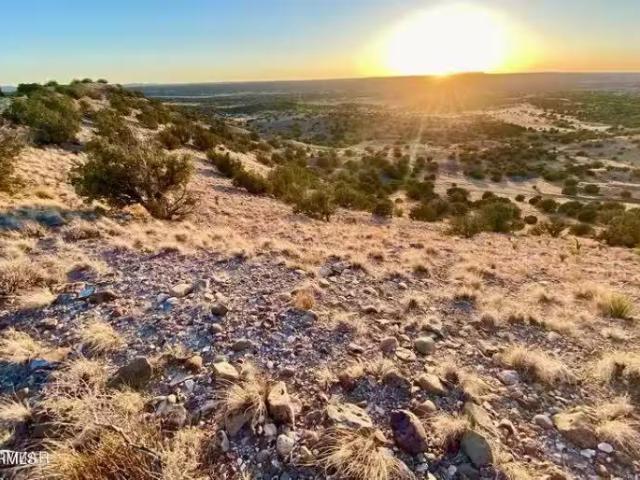 Tbd Co Rd Acres #, Concho, AZ 85924 MLS 6836466