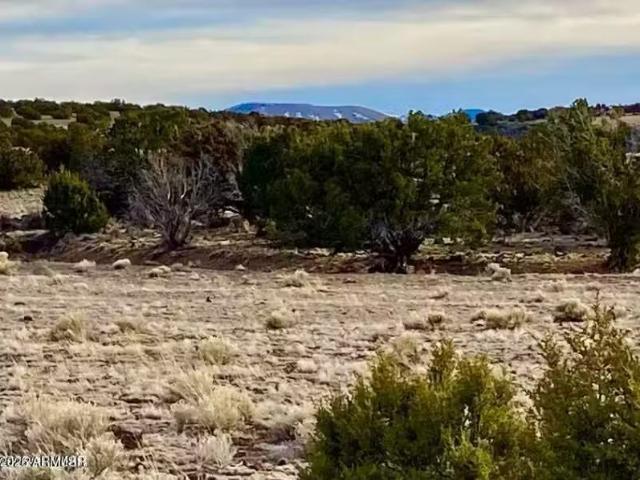 Tbd Co Rd Acres #, Concho, AZ 85924 MLS 6832901