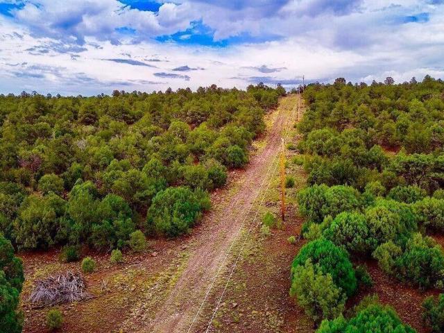 TBD Co Rd N3218 37 Acres