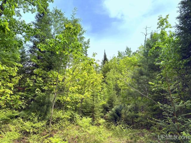 TBD Co Rd NMU/Station Rd Road