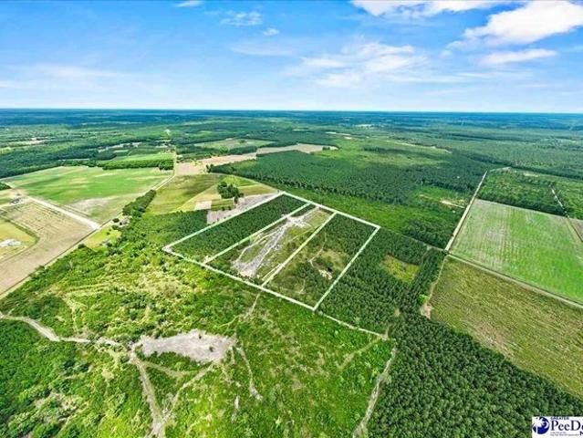 Tbd Cockfield Rd Lot 3, Scranton, SC 29591