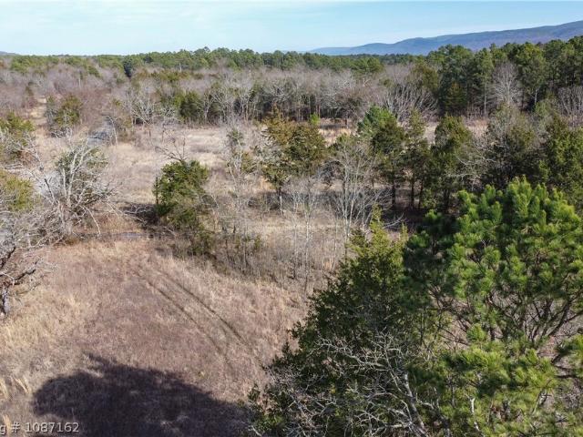 TBD Cole Spur Road