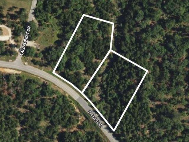 Tbd Colovista Dr Lots 1 & 41, Bastrop, TX 78602