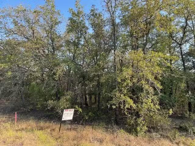 TBD Comewell Ct, Runaway Bay, TX 76426