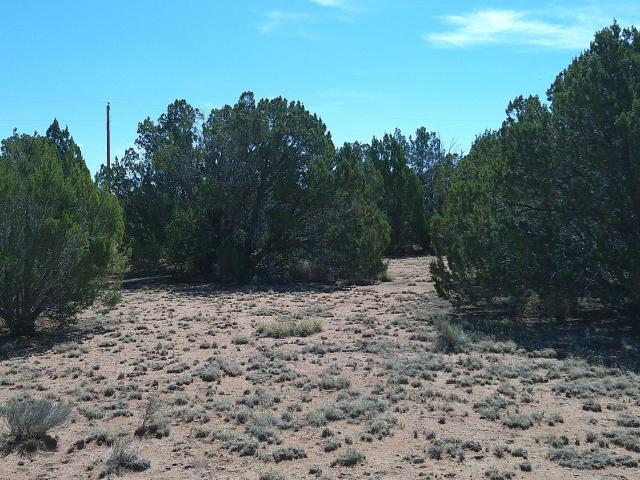 TBD Concho Valley lot 3