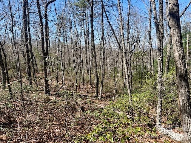 TBD Connelly Springs Road # 5