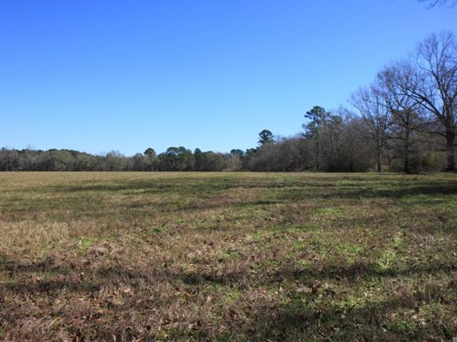 Tbd Cook Rd Lot 8, Slaughter, LA 70777