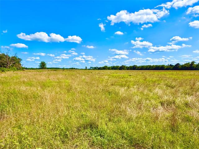 TBD Cooper Settlement Road