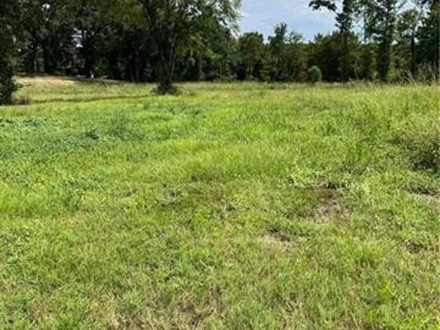 Tbd Copper Ct Lot 20, Zwolle, LA 71486