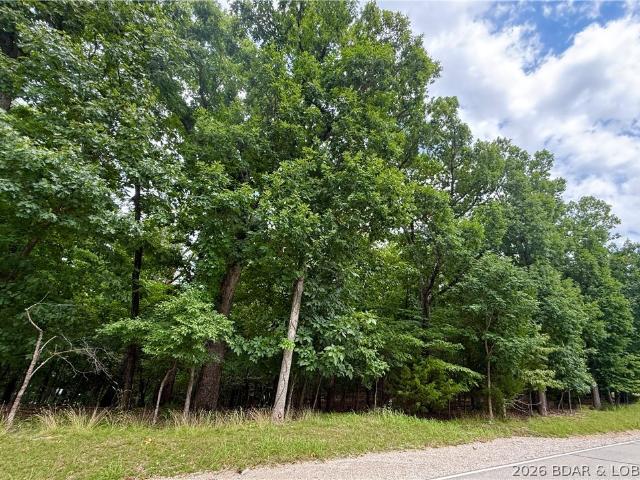 TBD Cornett Branch Road