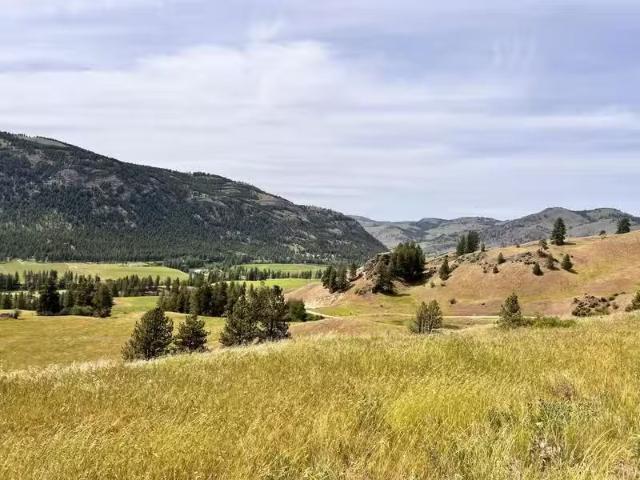 TBD CATHRINE CREEK RD, CURLEW, WA 99118 647260746