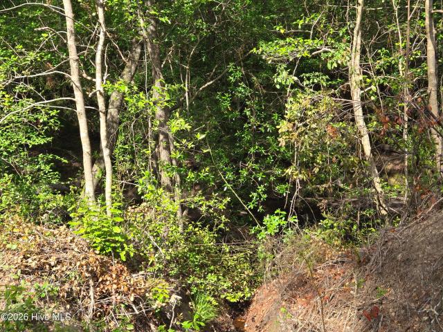 Tbd Cabins Creek Road # 35 40