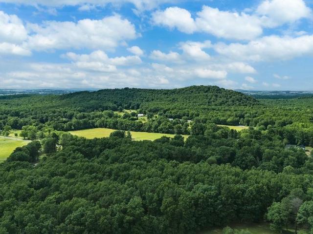 Tbd calf mountain rd