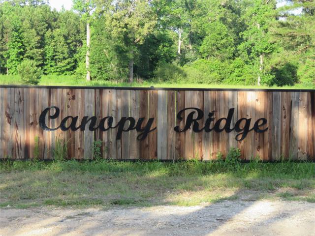 TBD Canopy Ridge Trail