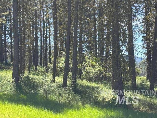 TBD Canyon Creek Way