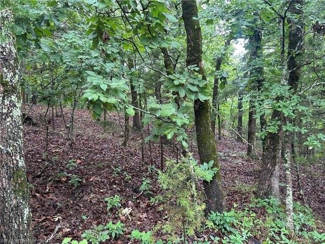 Tbd Canyon Rd, Poteau, OK 74953