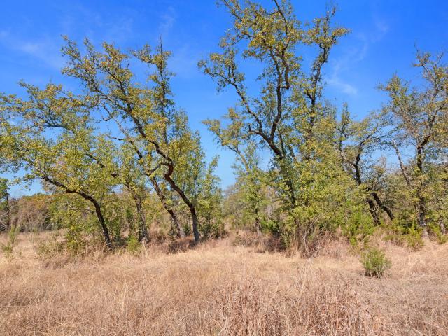 Tbd Carpenter Court Cor, Burnet, TX 78611 | MLS #6661