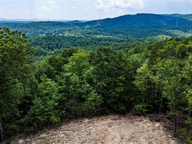 TBD Carriage House Trail