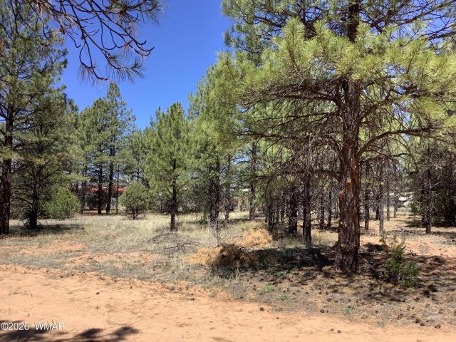 TBD Cedar Bark Trail