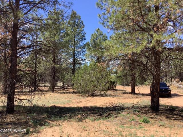 TBD Cedar Bark Trail