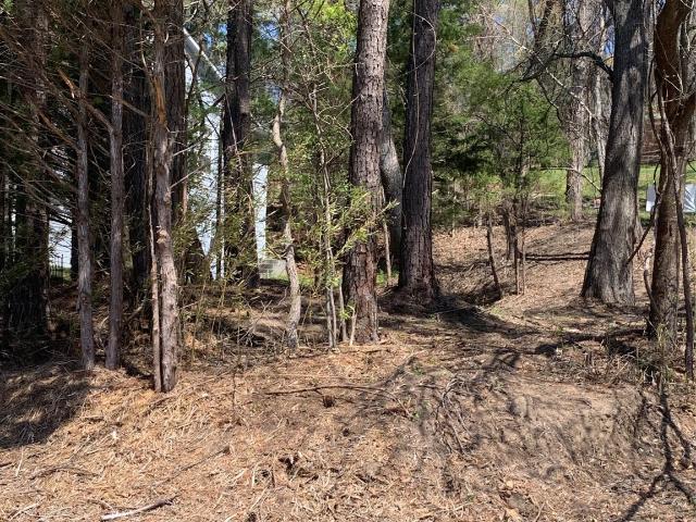 Tbd Cedar Ln, Livingston, TX 77351 | MLS #14738