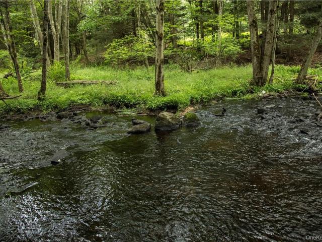TBD Chapin Trail
