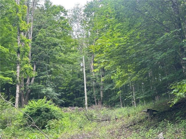 Tbd chestnut grove road