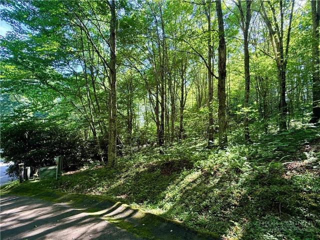 TBD Chestnut Mountain Road