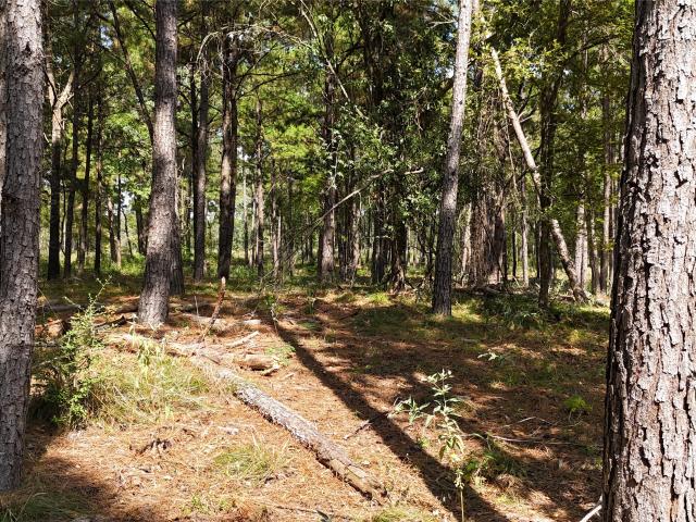 TBD Cherokee Trail