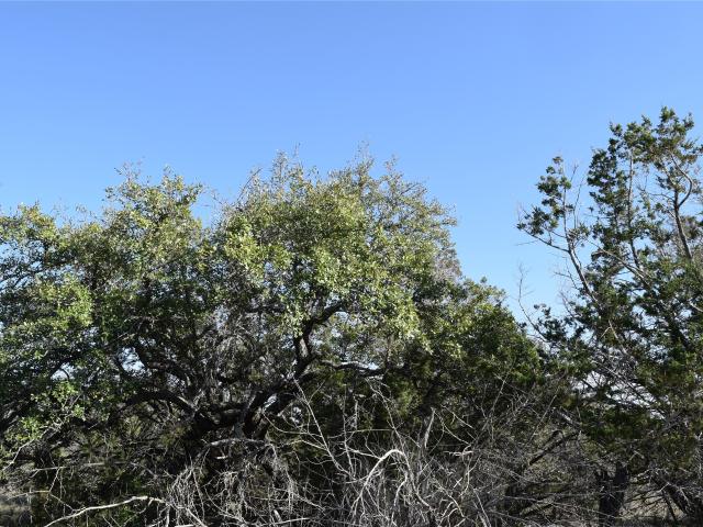 Tbd Cheyenne Trail, Wimberley, TX 78676 | MLS #6825 | Compass