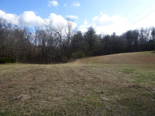 TBD Chinquapin