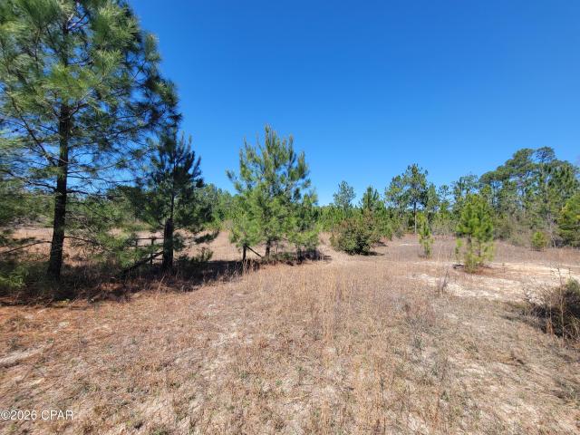 Tbd City Square Rd, Alford, FL 32420 | MLS #786123