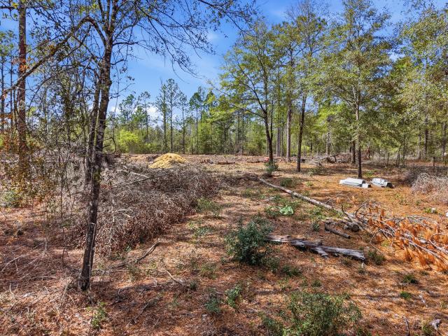 Tbd Clearwater Dr, Unit LOTS 50 & 51, DeFuniak Springs, FL 32433 | MLS #997672