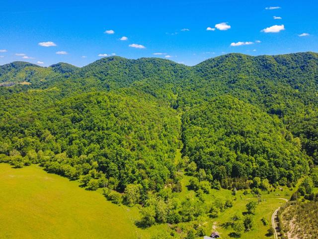 TBD Clinch Mountain Road