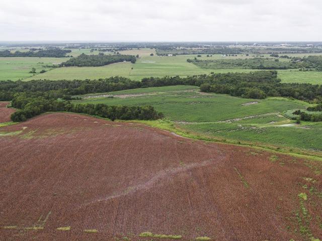 Tbd cr 240