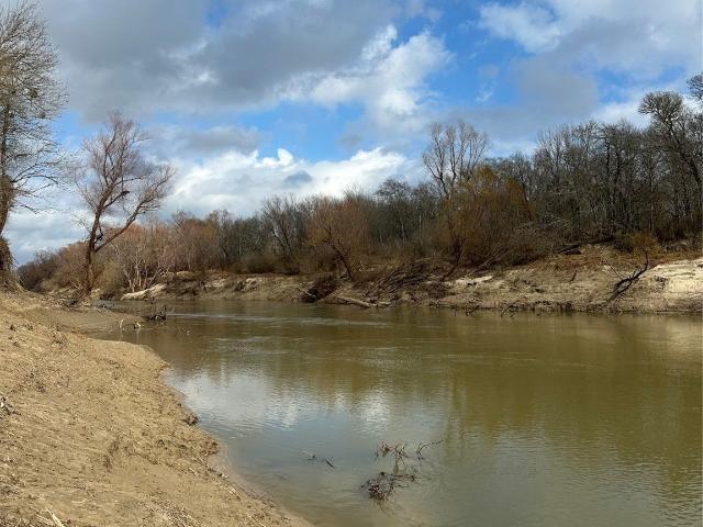 Tbd cr 280, oakwood, us, tx