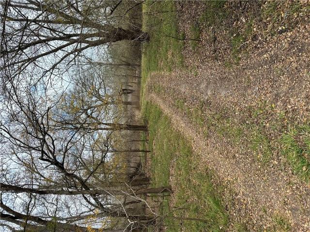 Tbd cr 280, oakwood, us, tx