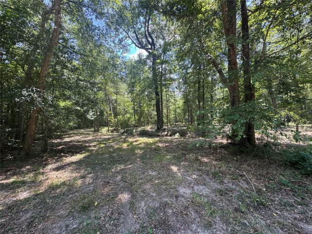 Tbd cr 3141 w road
