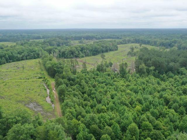 TBD CR 449 Socagee Creek Road