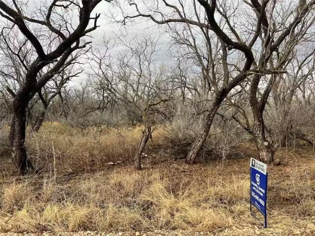 TBD CR 489, Merkel, TX 79536