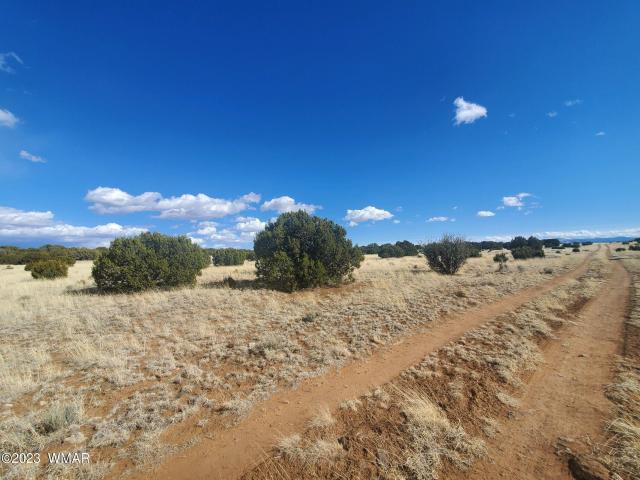 Tbd cr 5101