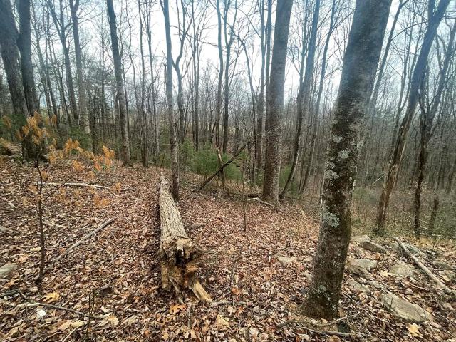 TBD Creekview Lane