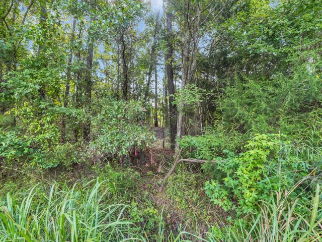Tbd Creek Bend Rd, Georgetown, SC 29440 | MLS #2520