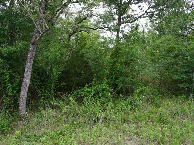 TBD Creek Side Cir
